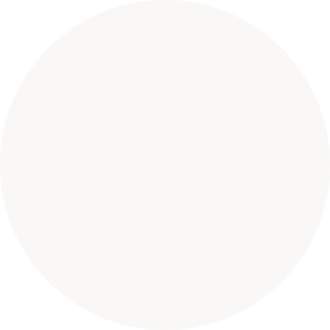 Blitzsol Ltd – Information Technology Firm