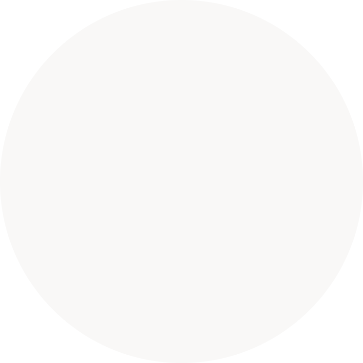 Blitzsol Ltd – Information Technology Firm