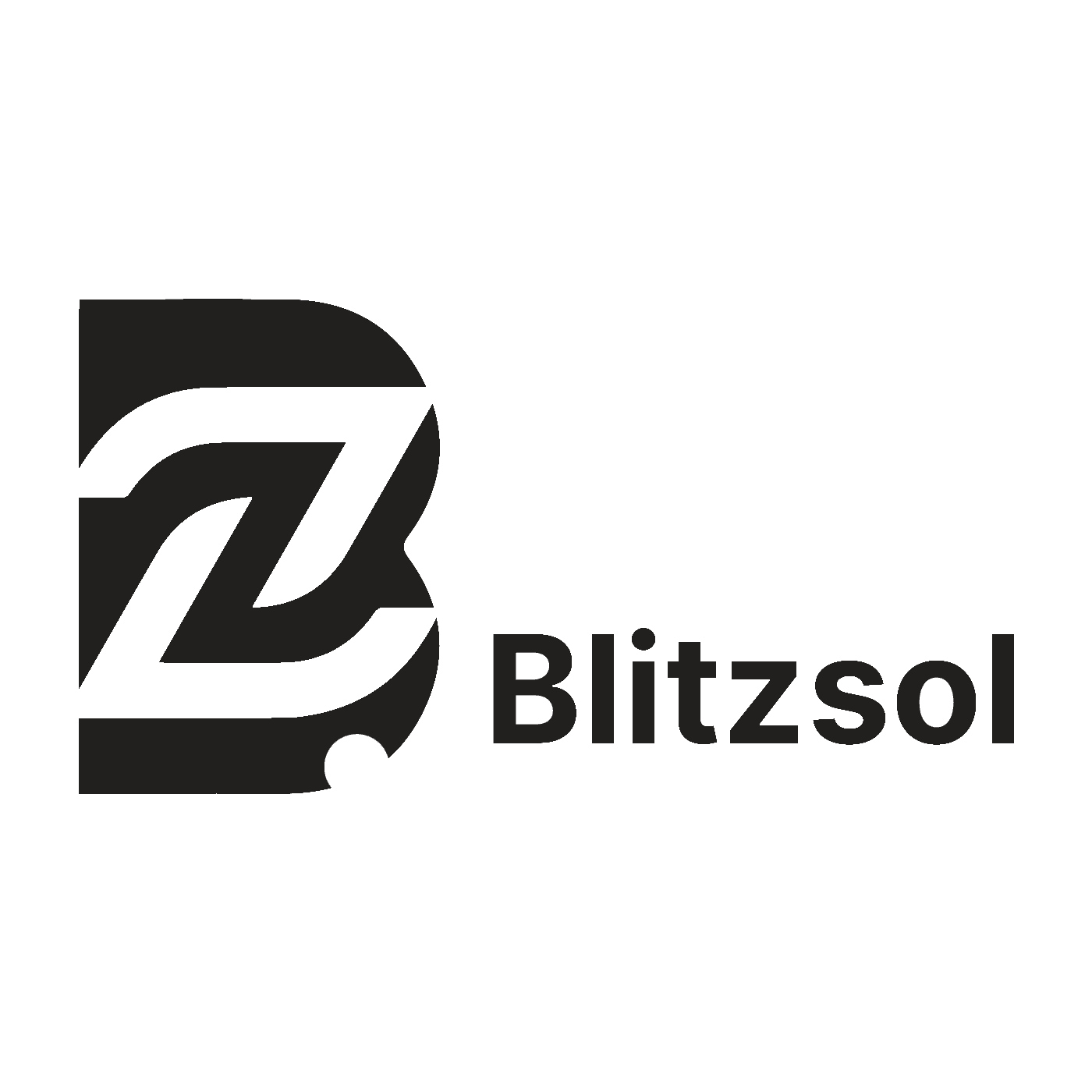 Blitzsol Ltd – Information Technology Firm